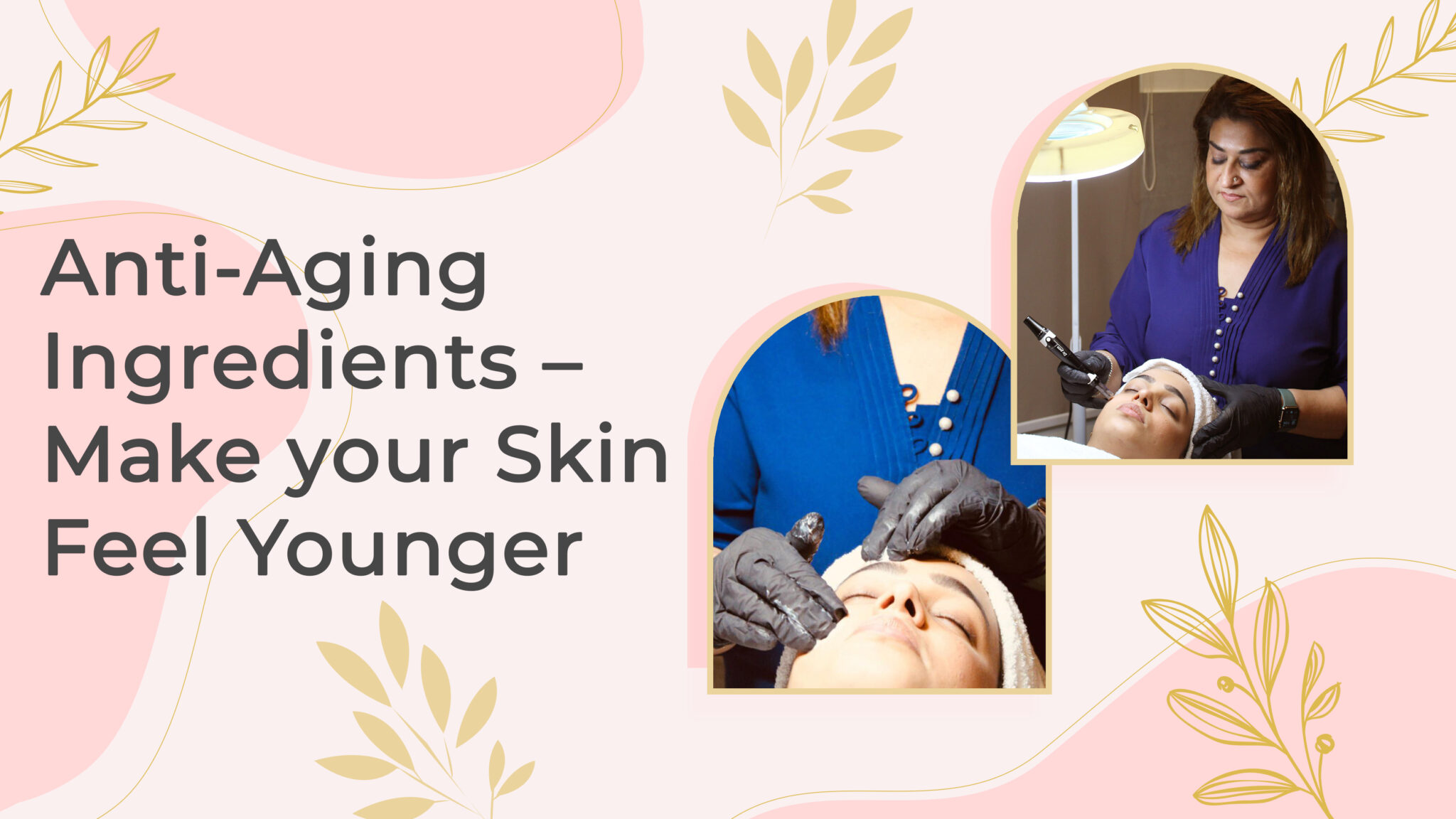 Anti-Aging Ingredients – Make your Skin Feel Younger - Rejuve by Aliya ...